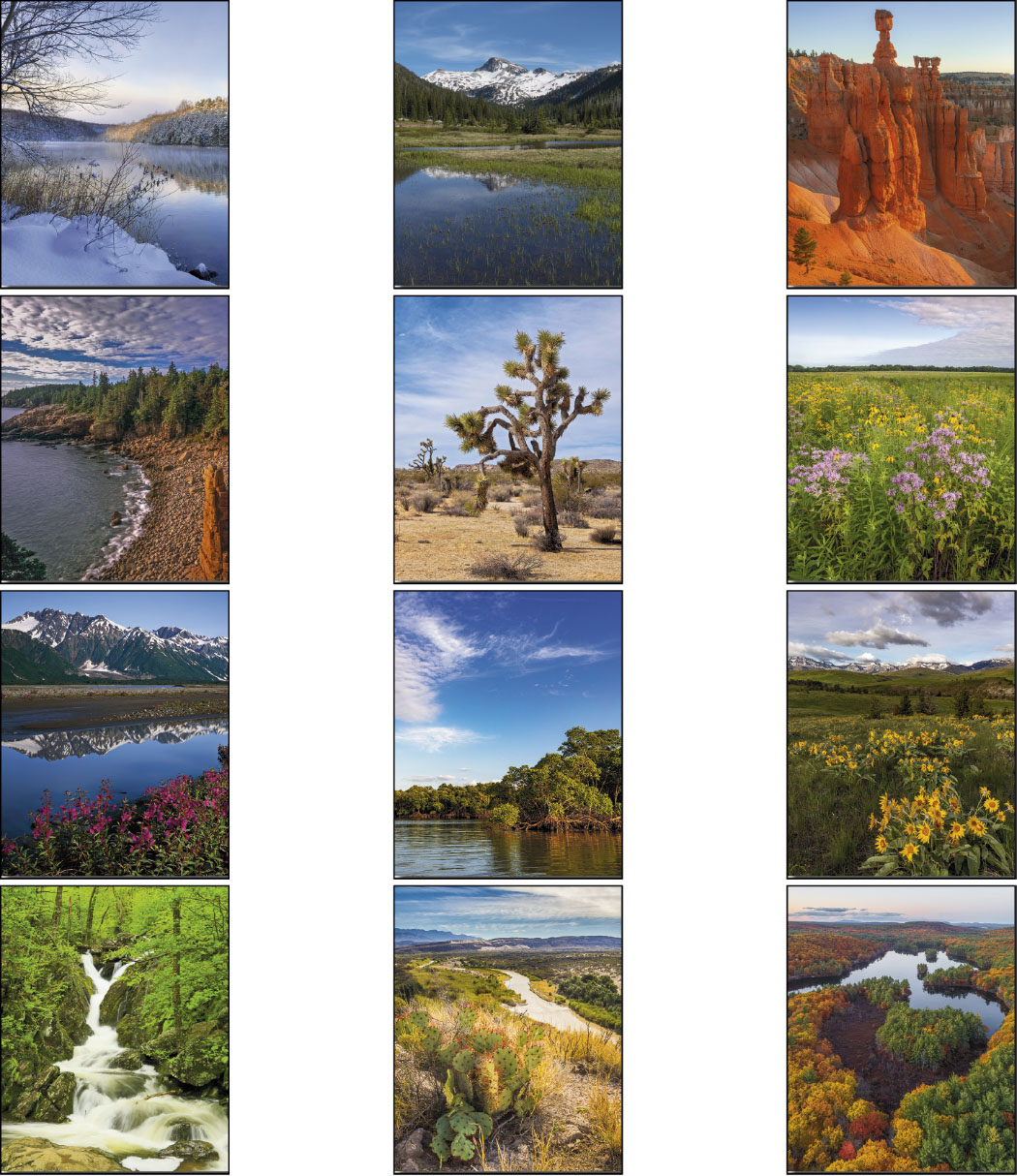 Scenic Desk Pad | Koozie Group