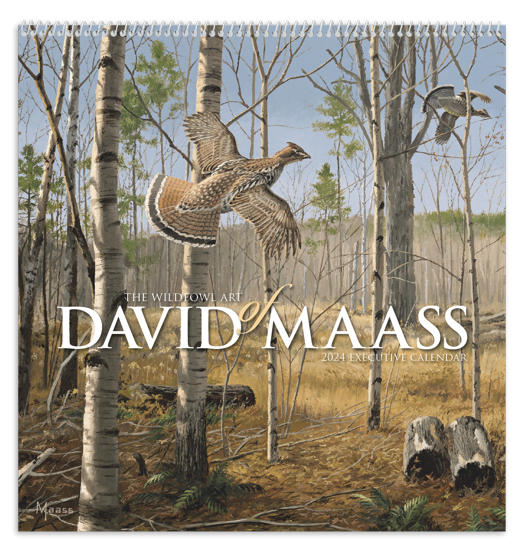 David Maass Executive Calendar | Koozie Group